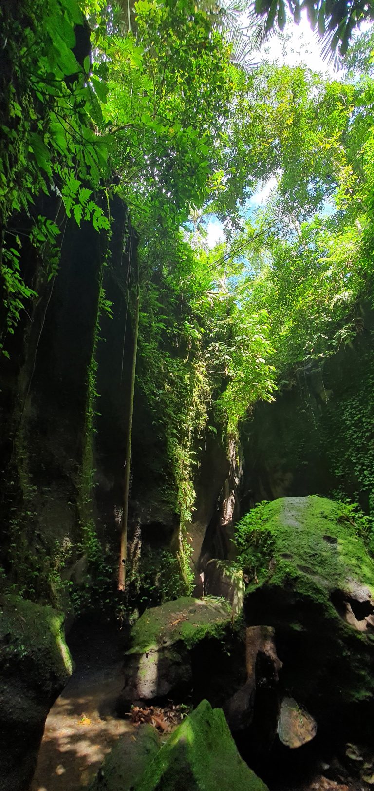 Resa till Bali - Sevärdheter & priser 2024 - World Traveler